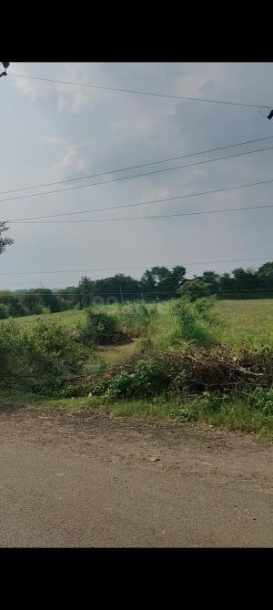 Agriculture land for sale in Katara Bhopal - Farm land for sale in ...