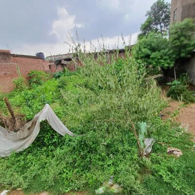 Plots for sale in Chutiya Ranchi - 1+ Residential Land / Plots in ...