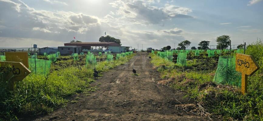 Agriculture / Farm land for sale in Wasar Sangareddy - 605 Sq. Yard.