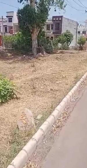 Property in Ropar - Real Estate in Ropar