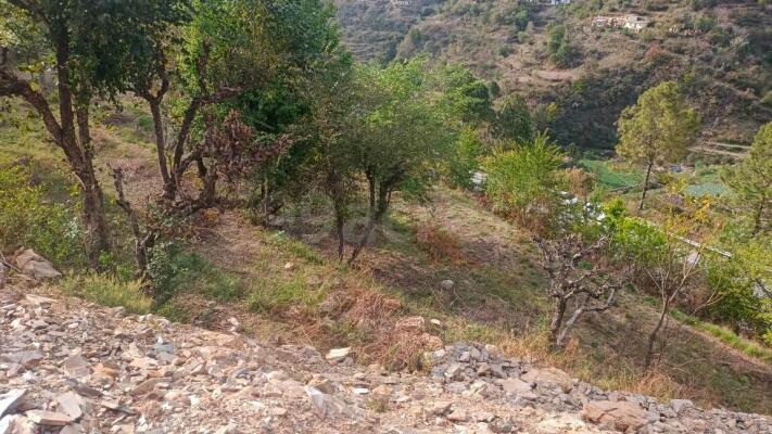 Residential land / Plot for sale in Chamba New Tehri - 240 Sq. Yard.