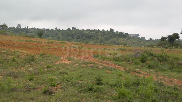 Agriculture / Farm land for sale in Harohalli Kanakapura Road - 1111 Sq ...