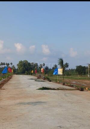 Residential land / Plot for sale in Magunta Layout Nellore - 200 Sq. Yard.