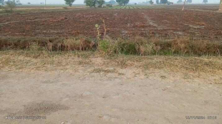 Agriculture land for sale in Barapatthar Ujjain - Farm land for sale in ...