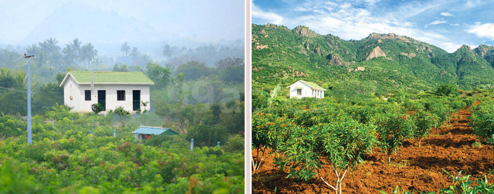 2 BHK Property in Usilampatti Madurai - 2+ Flats, Houses in Usilampatti ...