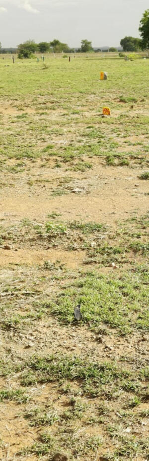 Plots for sale in Kodangal, Vikarabad - Residential Land / Plots in ...