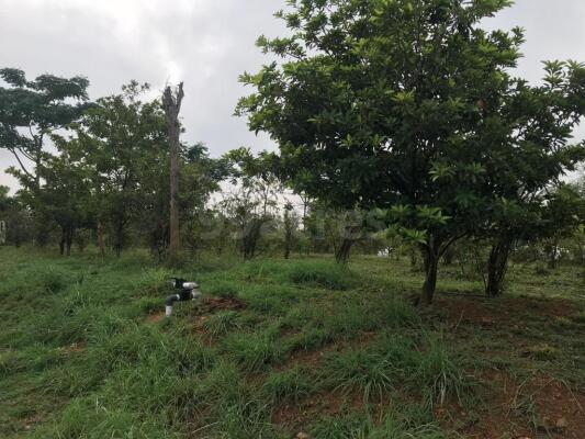 Agriculture / Farm land for sale in Perumbalai Dharmapuri - 24200 Sq. Yard.