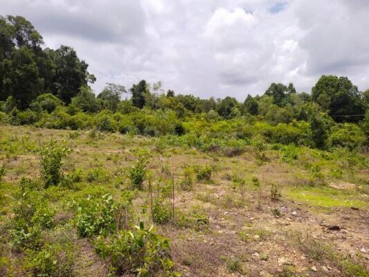 Freehold Plots in Hebri Udupi - Freehold Land / Plots for sale in Hebri ...