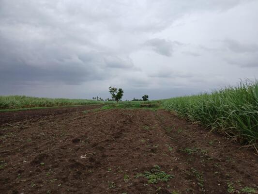 Agriculture / Farm land for sale in Nira Pune - 58081 Sq. Yard.
