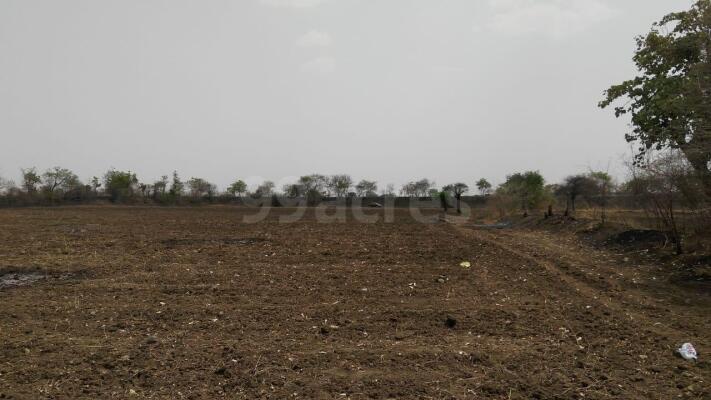 Agriculture land for lease in India - Agricultural Land for lease in India