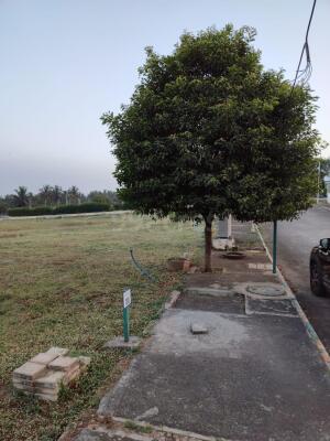 Gated Community Plots in Kengeri, Bangalore - 25+ Properties