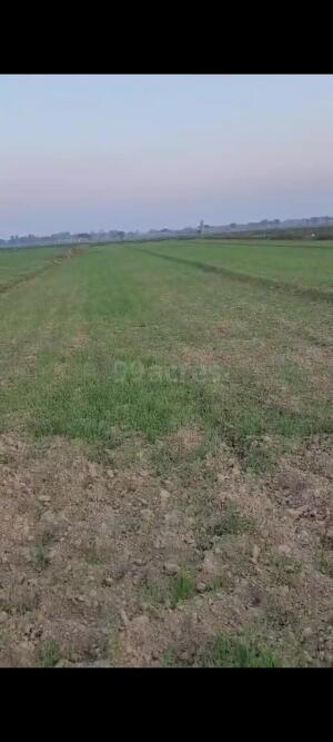 Agriculture / Farm land for sale in Atrauli Aligarh - 8712 Sq. Yard.