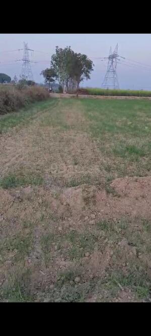 Agriculture / Farm land for sale in Atrauli Aligarh - 8712 Sq. Yard.