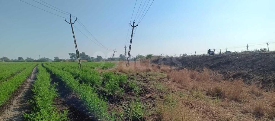 Agriculture land for sale in Gujarat - Farm land for sale in Gujarat