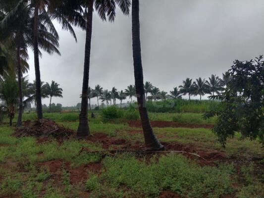 Property in Madampatti Coimbatore - Real Estate in Madampatti Coimbatore