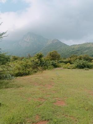 Farm House in Coimbatore - 30+ Farm House for sale in Coimbatore