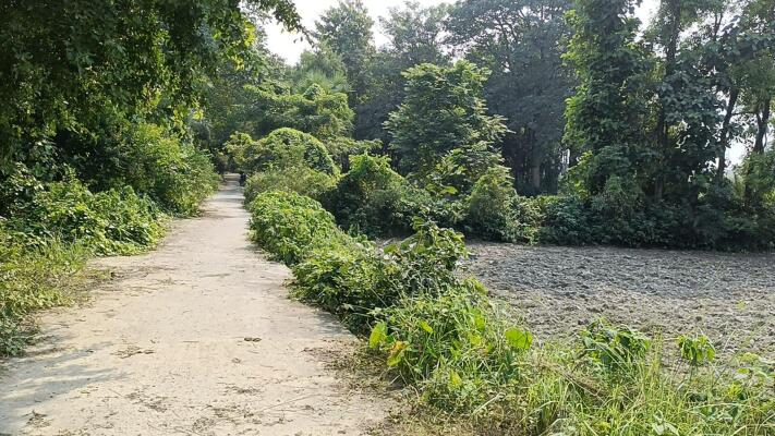 Plots for sale in Begusarai - 10+ Residential Land / Plots in Begusarai