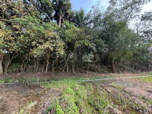 Agriculture / Farm land for sale in Sakhigopal Puri - 6776 Sq. Yard.