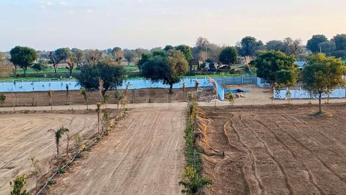 2 BHK Farm house for sale in Agra Road Jaipur - 7199 Sq. Ft.