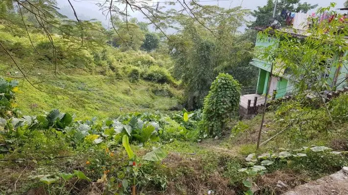 Property in Sikkim - Real Estate in Sikkim