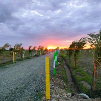 Agriculture / Farm land for sale in Padalam Chengalpattu - 1067 Sq. Yard.