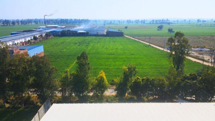 Industrial land / plot for rent in Israna Panipat - 23232 Sq. Yard.