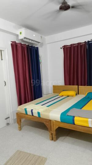2+ PG in Buddha Colony - Girls and Boys Paying Guest in Buddha Colony ...