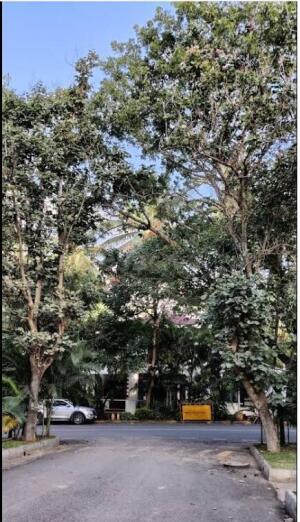 Plots for sale in Classic Orchards Layout, Bannerghatta Road - 7 ...