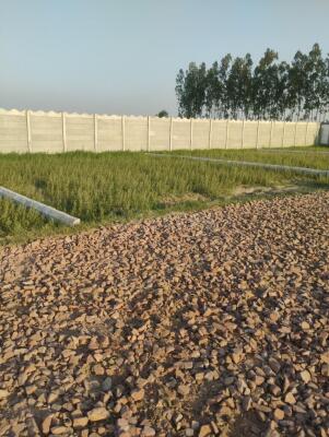 Property in Palwal - Real Estate in Palwal