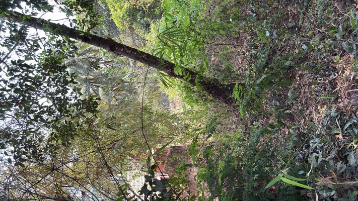 4500 sq ft to 9000 sq ft - Property for sale in South Goa