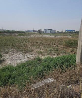 Agriculture / Farm land for rent in Pirthla Palwal - 14520 Sq. Yard.