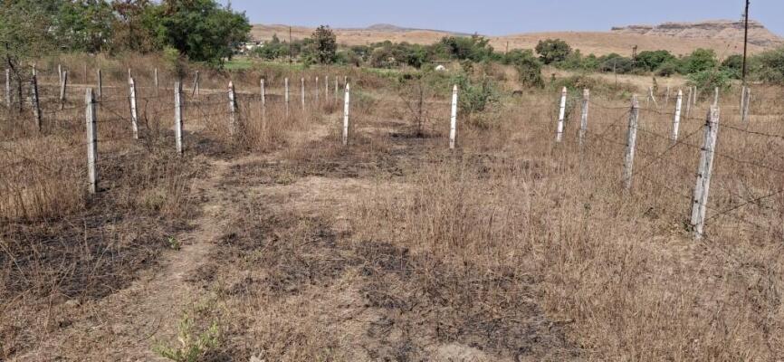 Freehold Plots in Vilholi Nashik - Freehold Land / Plots for sale in ...
