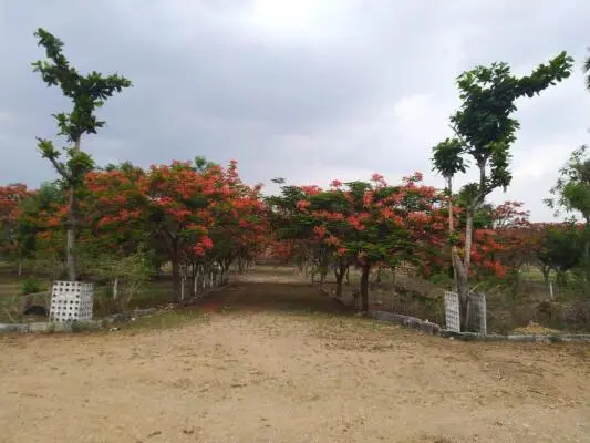 Plots for sale in Abdullapurmet, Hayathnagar - 8+ Residential Land ...