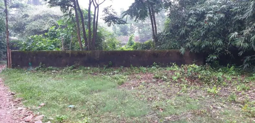 Property in Dakghar, Kolkata - Real Estate in Dakghar, Kolkata