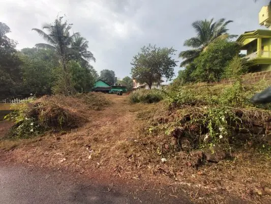 Freehold Plots in Loutolim, Goa - Freehold Land / Plots for sale in ...
