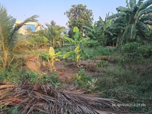 Plots in Morai, Chennai - 20+ Residential Land for sale in Morai, Chennai