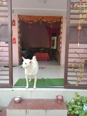 2+ PG in Dabha - Girls and Boys Paying Guest in Dabha, Nagpur