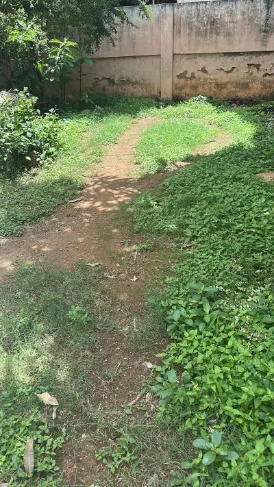 House for Sale in Mathikere, Bangalore - 18+ House in Mathikere, Bangalore