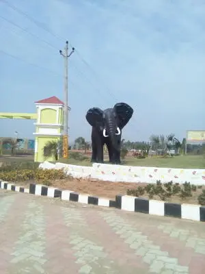 Property in Bheemili Visakhapatnam - Real Estate in Bheemili Visakhapatnam