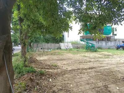 Residential land / Plot for sale in DLF Phase 3 Gurgaon - 502 Sq. Yard.