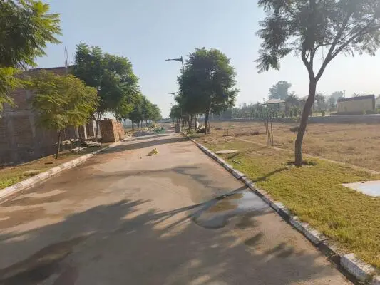 Property in Dhunela, Gurgaon - Real Estate in Dhunela, Gurgaon