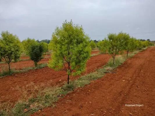 Gated Community Plots in Jayadev Vihar Bhubaneswar - 1+ Properties