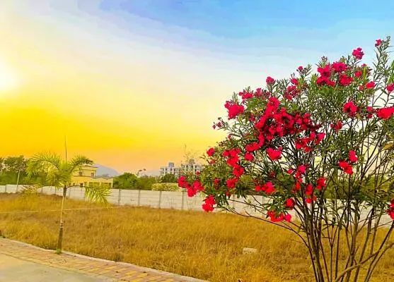 Villas in Barav, Junnar, Pune | Villas for Sale in Barav, Junnar, Pune