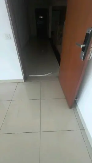 Amanora Neo Towers Rent - 33+ Flats for Rent in Amanora Neo Towers ...
