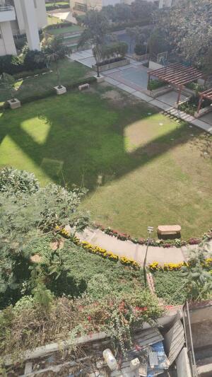 Residential land / Plot for sale in DLF Phase 2 Gurgaon - 300 Sq. Yard.