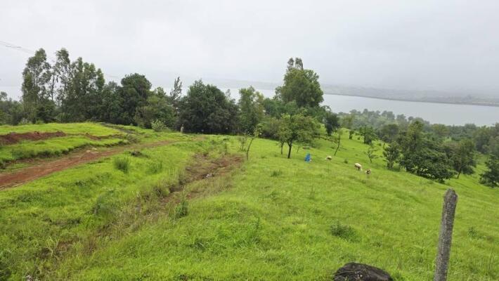 Agriculture / Farm land for sale in Nira devghar Dam Pune South - 2222 ...