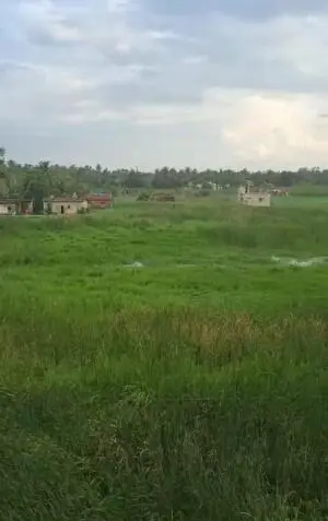 Residential land in Sarkarpool, Maheshtala from 10 lakhs to 20 lakhs ...