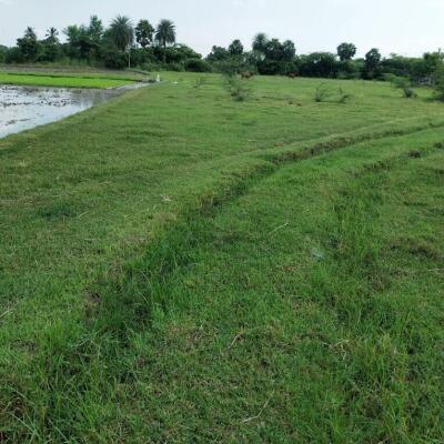 Agriculture / Farm land for sale in Chepet Tiruvannamalai - 14520 Sq. Yard.