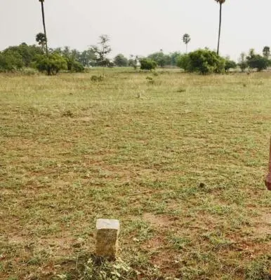 Freehold Plots in Om Sakthi Nagar Coimbatore - Freehold Land / Plots ...