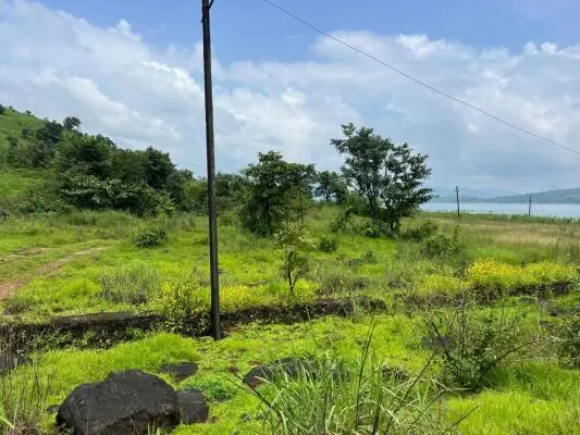 Agriculture land for sale in Pune - Farm land for sale in Pune